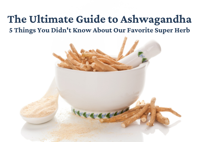 The Ultimate Guide to Ashwagandha - 5 Things You Didn't Know About Our ...