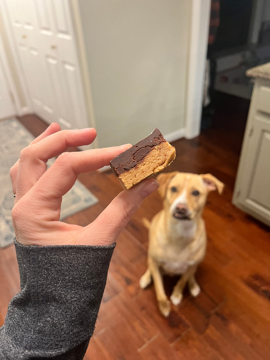 Gluten Free Copy Cat Reese's Cup Bars---Dairy Free, Natural Sweeteners ...